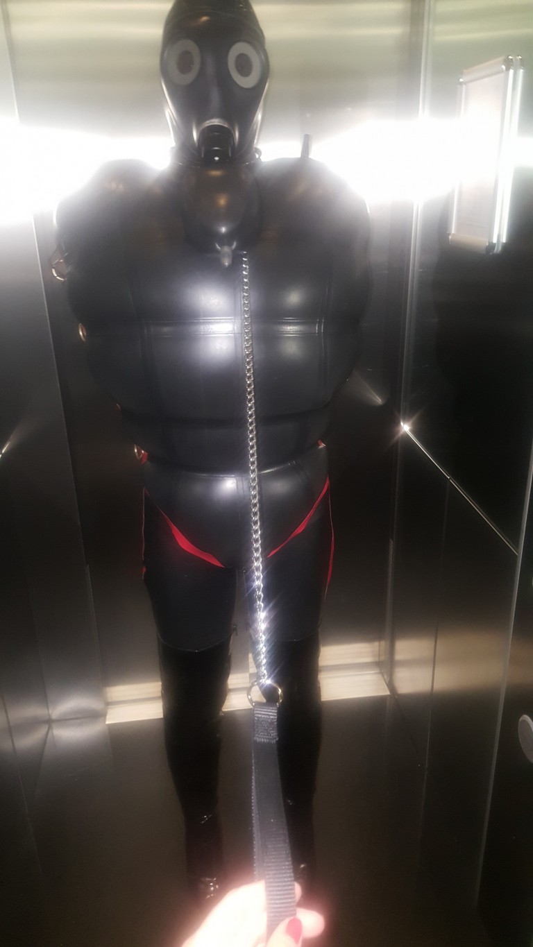 20161105_170938 | Zuleika